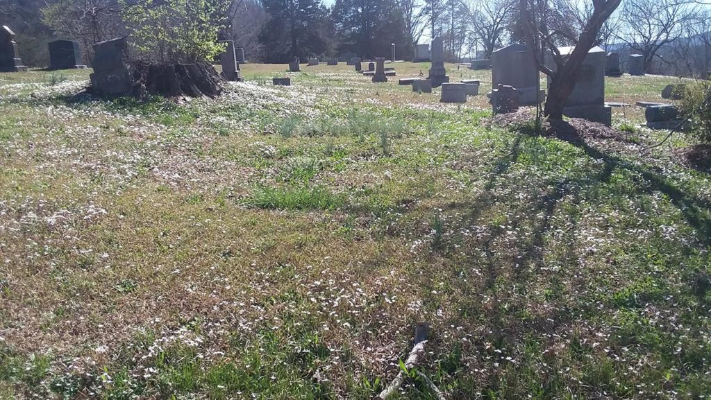 grave plot maintenance | Grave Site Business